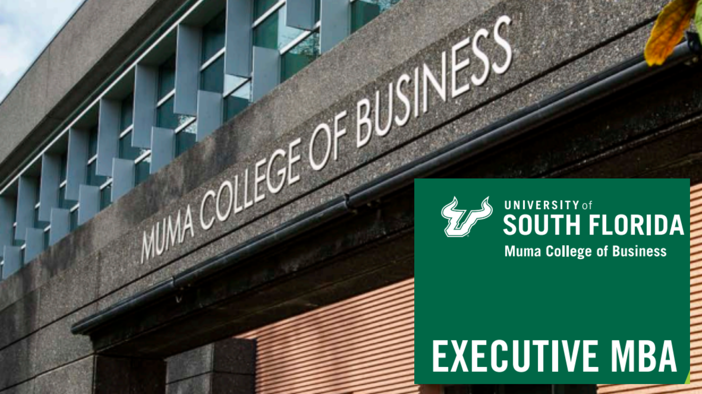 You'll Never Find the Time to Write a Book | Expert Author Info